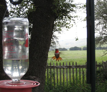 McIvor Ranch :: Reservation Information